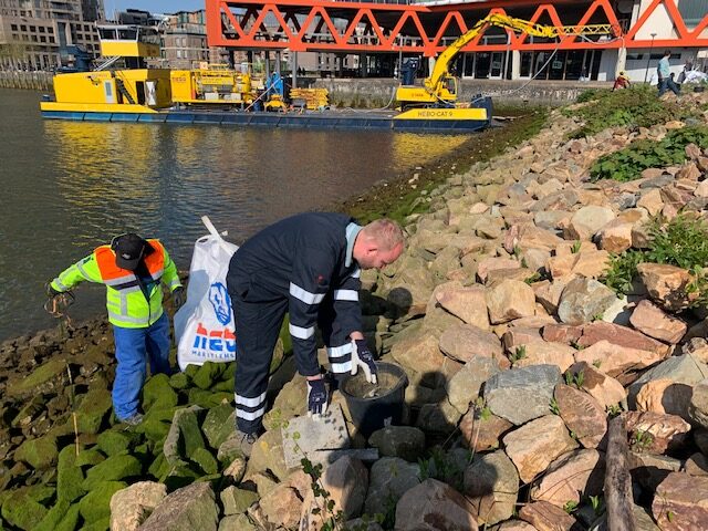 Oevers van Rijnhaven in Rotterdam schoongemaakt - Ducor Petrochemicals